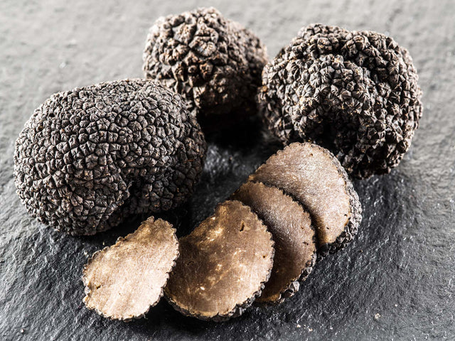 Complete guide to Truffles – Alma Gourmet
