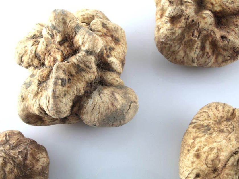 White Truffles: what and they are and how to prepare them