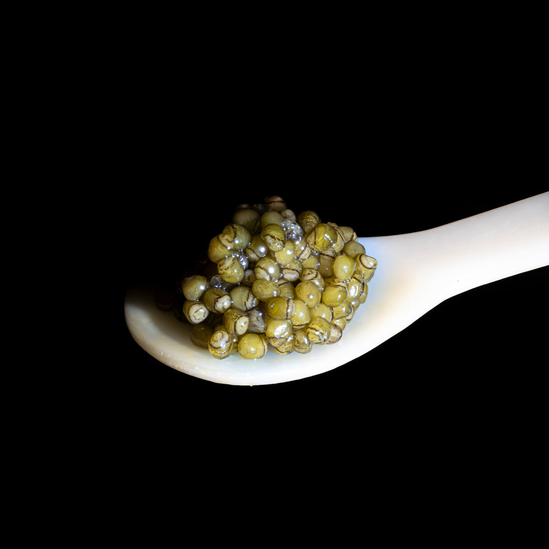 Shop Imperial Osetra Caviar | Alma Gourmet