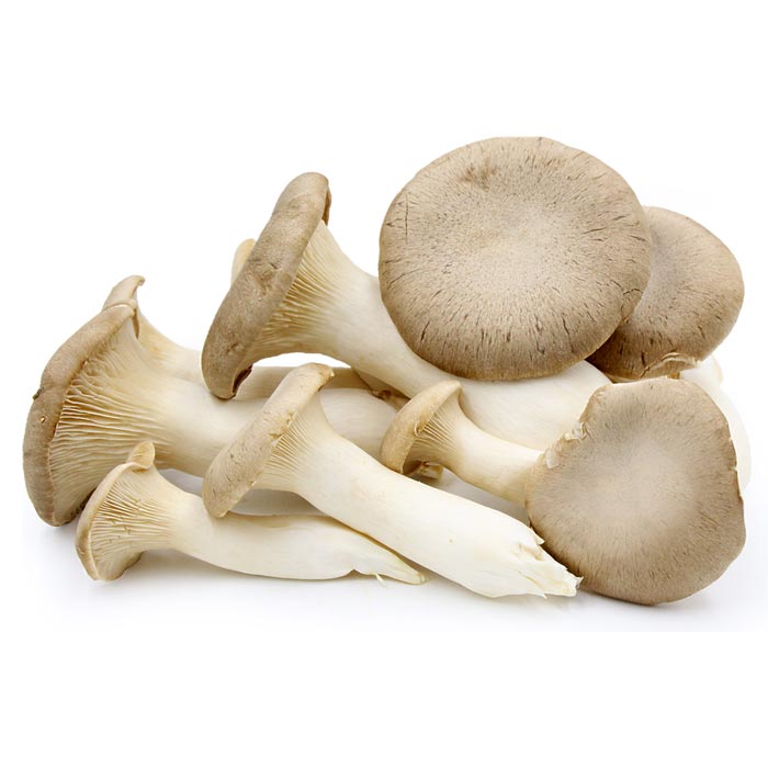Royal Trumpets Mushrooms - Buy Italian Royal Trumpets Mushrooms
