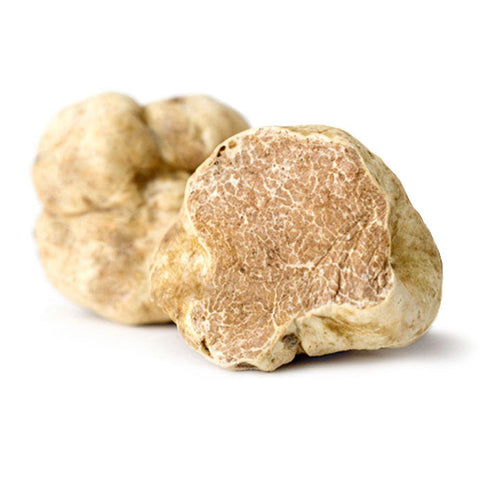 Shop Fresh Truffles from Italy | Weekly Imported | Alma Gourmet