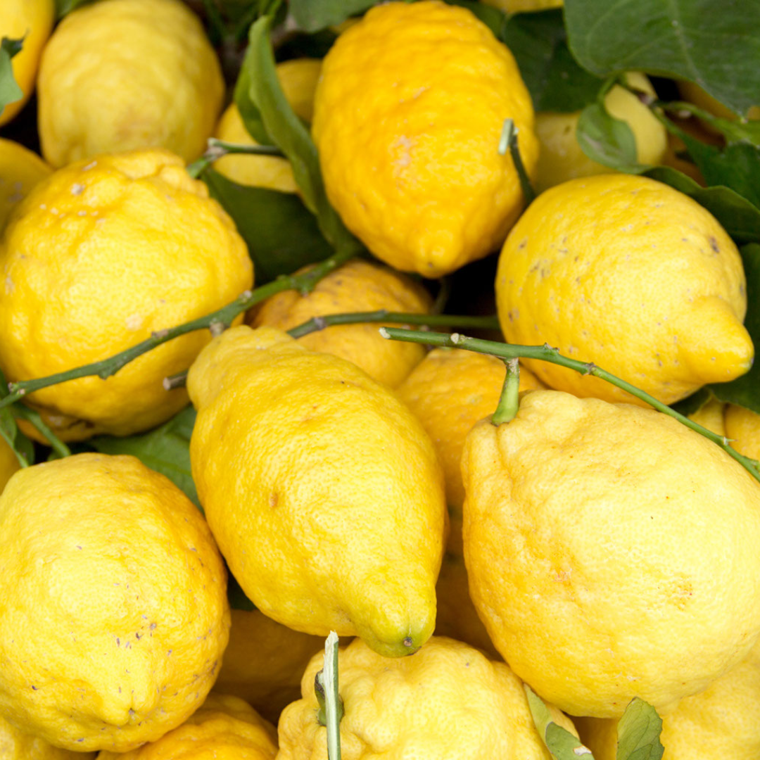 Sorrento Lemons - Limoni di Sorrento