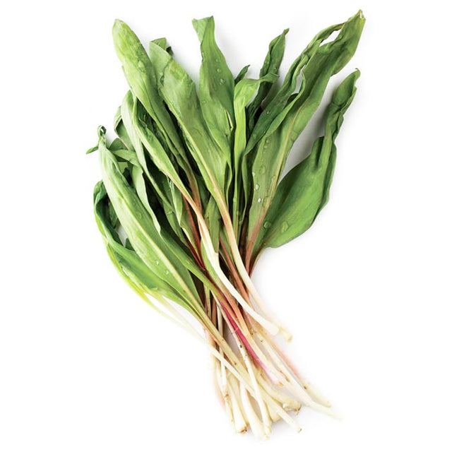 Fresh Wild Ramps